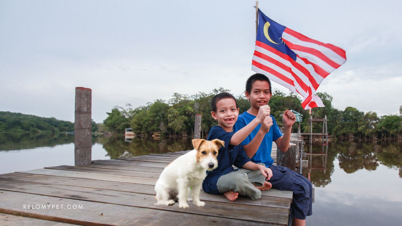 DOG BREEDS BANNED AROUND THE WORLD | Relopet International