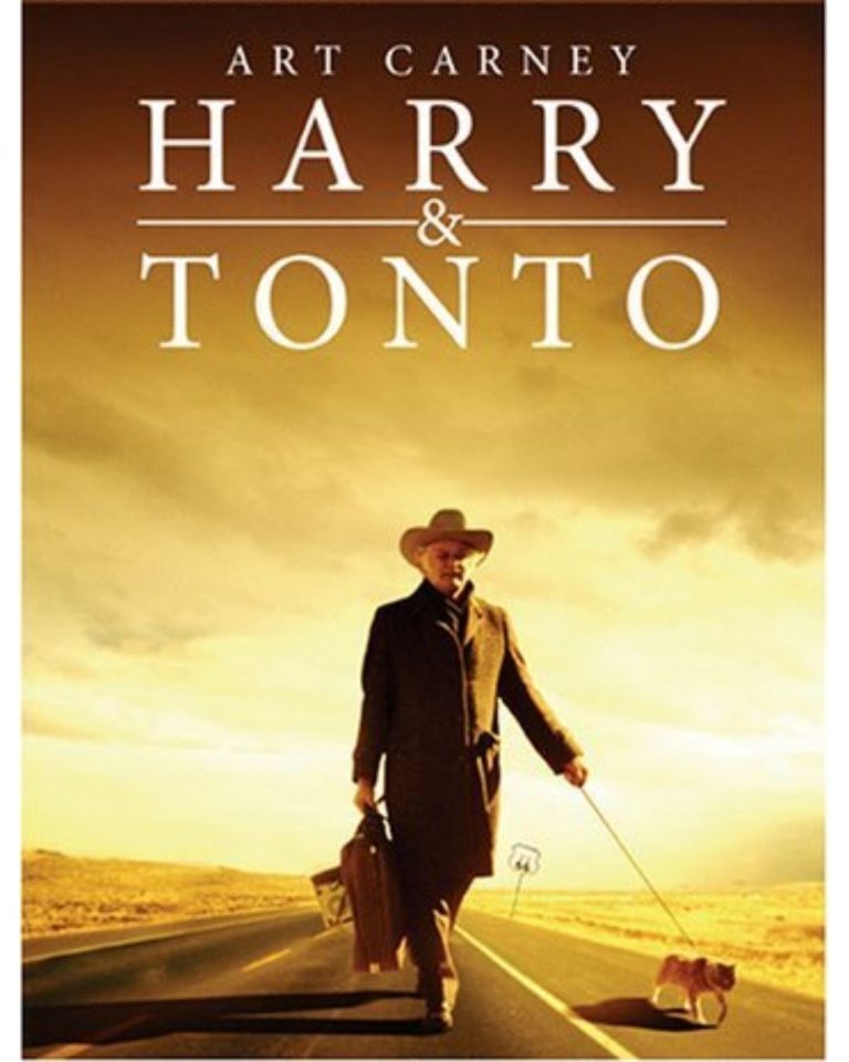 Pets in Films Day: Top 10 Cat and Dog Movies | Relopet International