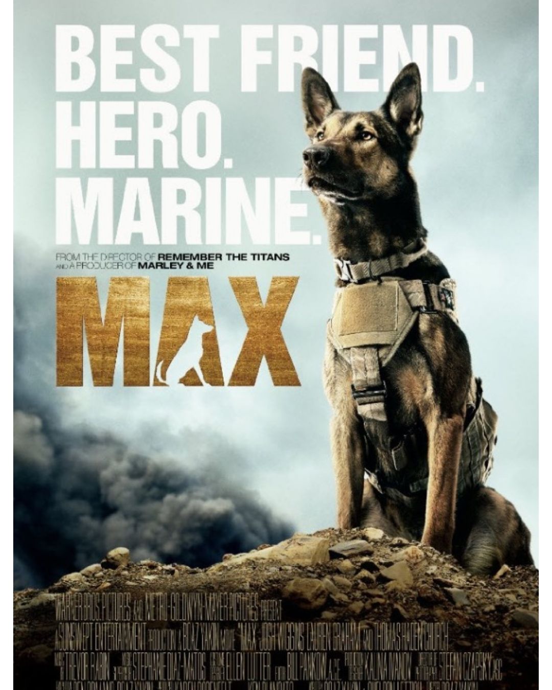 Pets in Films Day: Top 10 Cat and Dog Movies | Relopet International