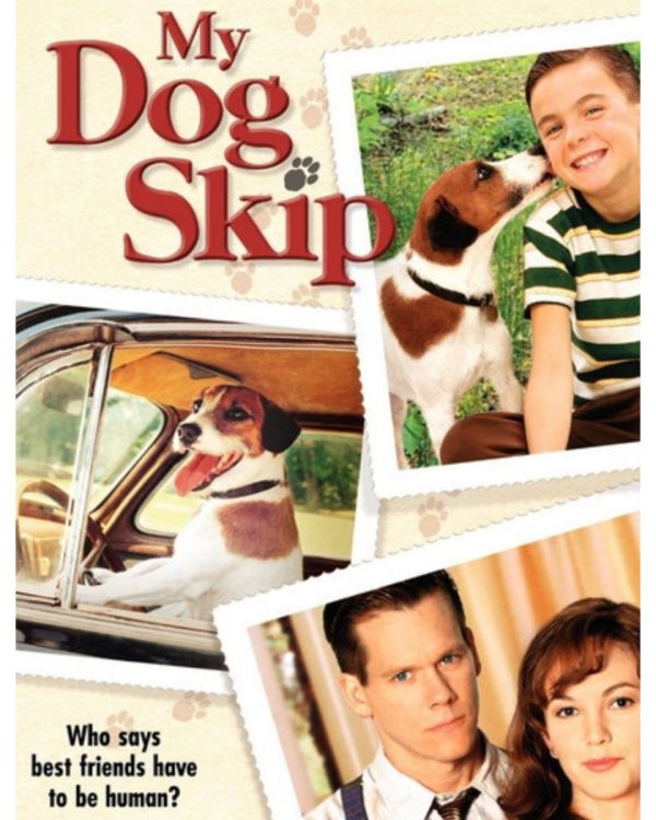 Pets in Films Day: Top 10 Cat and Dog Movies | Relopet International